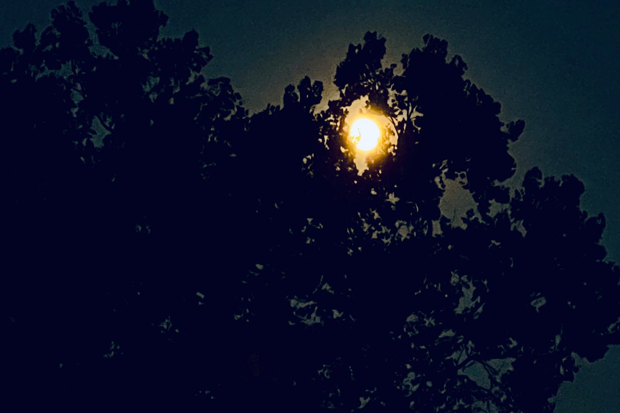 Hopefully Yours | Connie Schultz | Substack