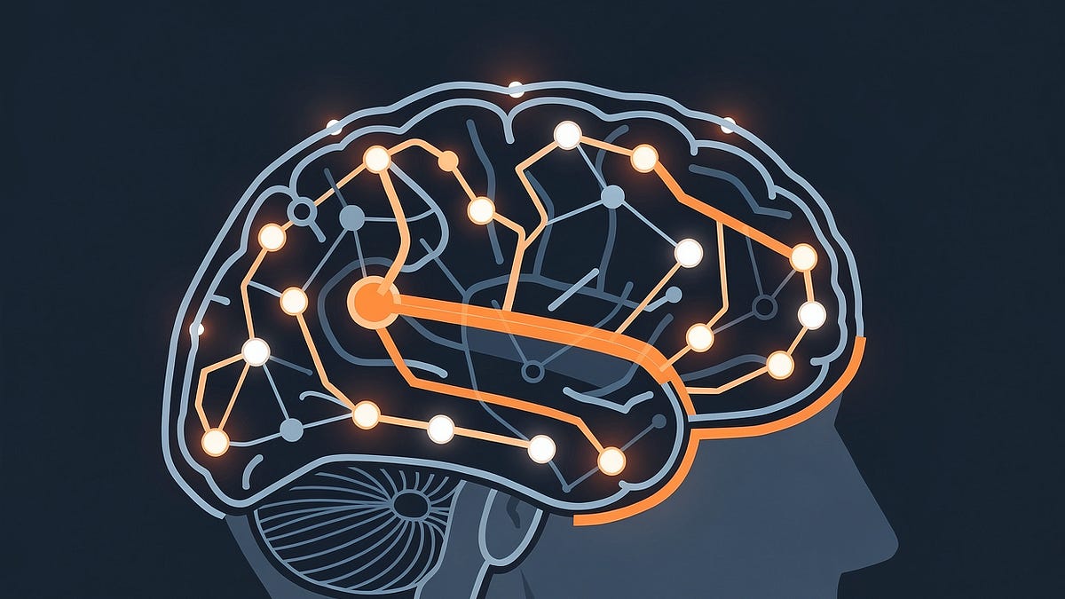 The Power of Patterns: How the Brain Shapes Belief, Behaviour and Business