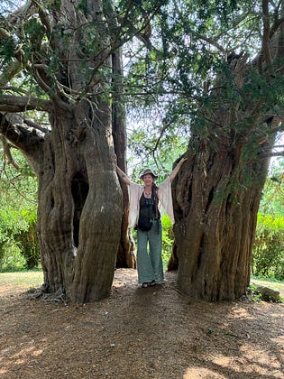 Laura Eisenhower | Substack