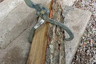 Wood From Eden | Tove K | Substack