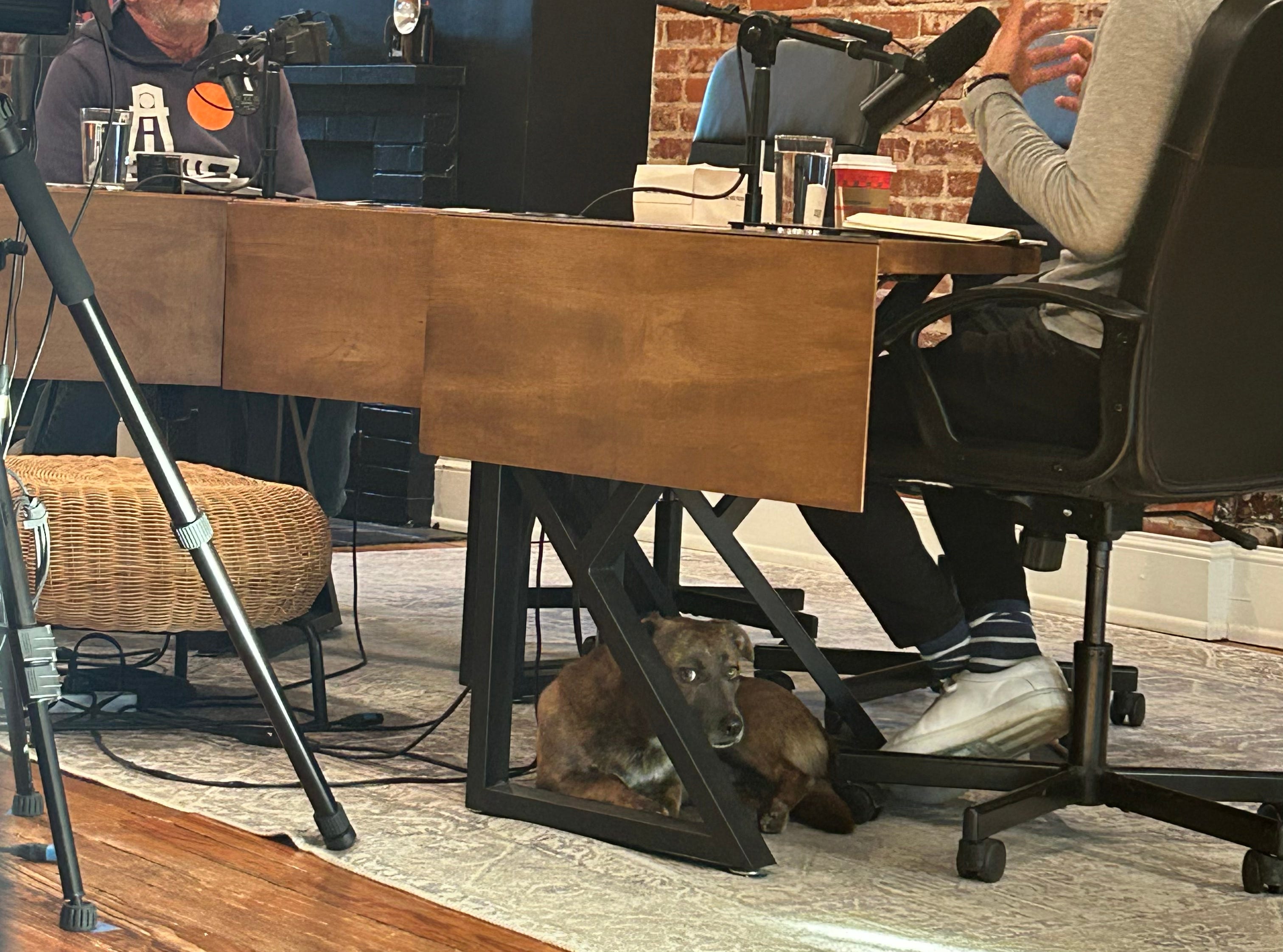 Shadi Hamid On US Power And The New NSS