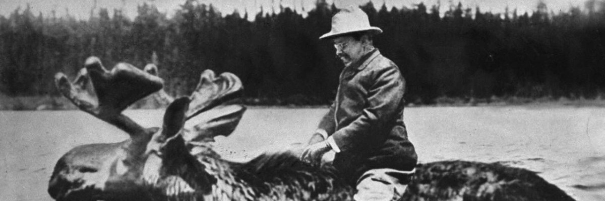 Amanda Nelson | Substack