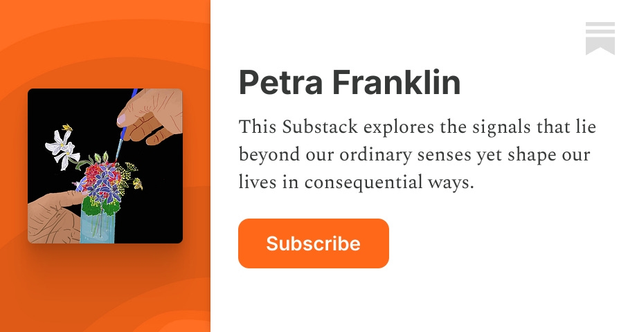 Petra Franklin | Substack