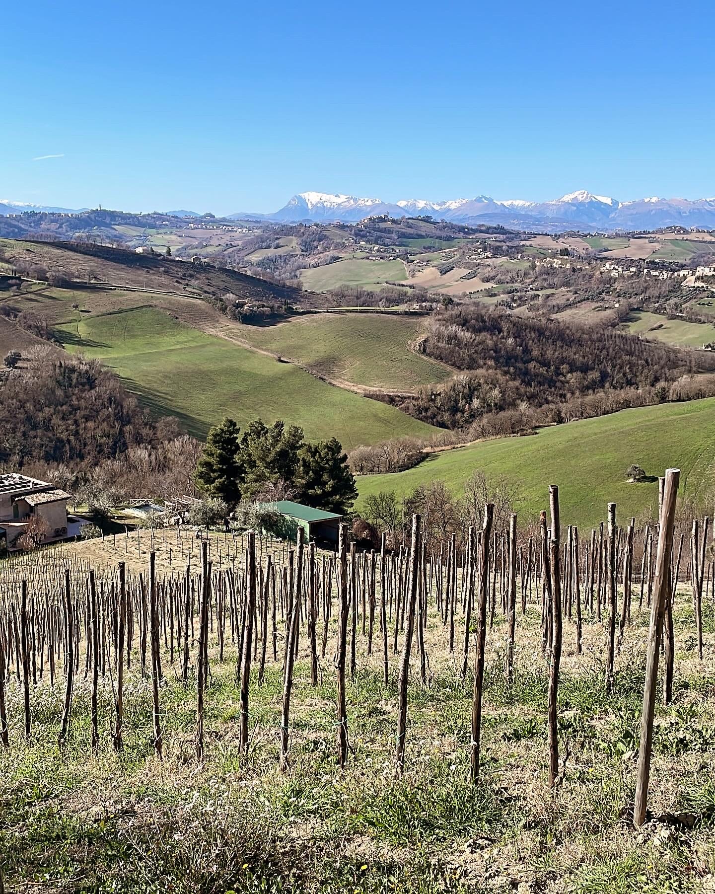 Remote Workers for Remote Villages (Ep. 10) - Massimiliano Marchesi