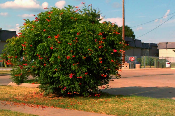 The Quiet Part | Kay Poyer | Substack