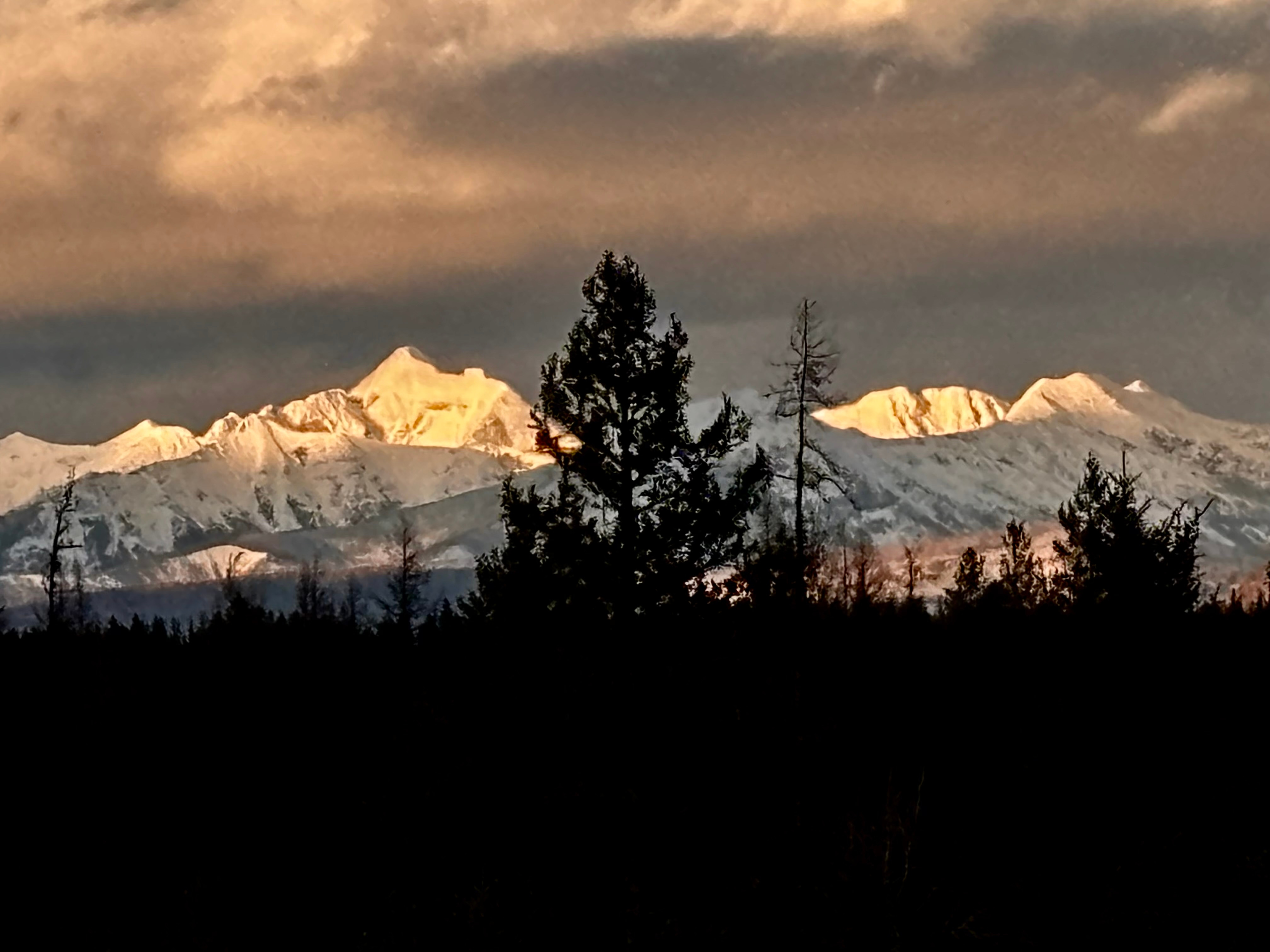 Four Hundred Years of Silence—Then Christmas