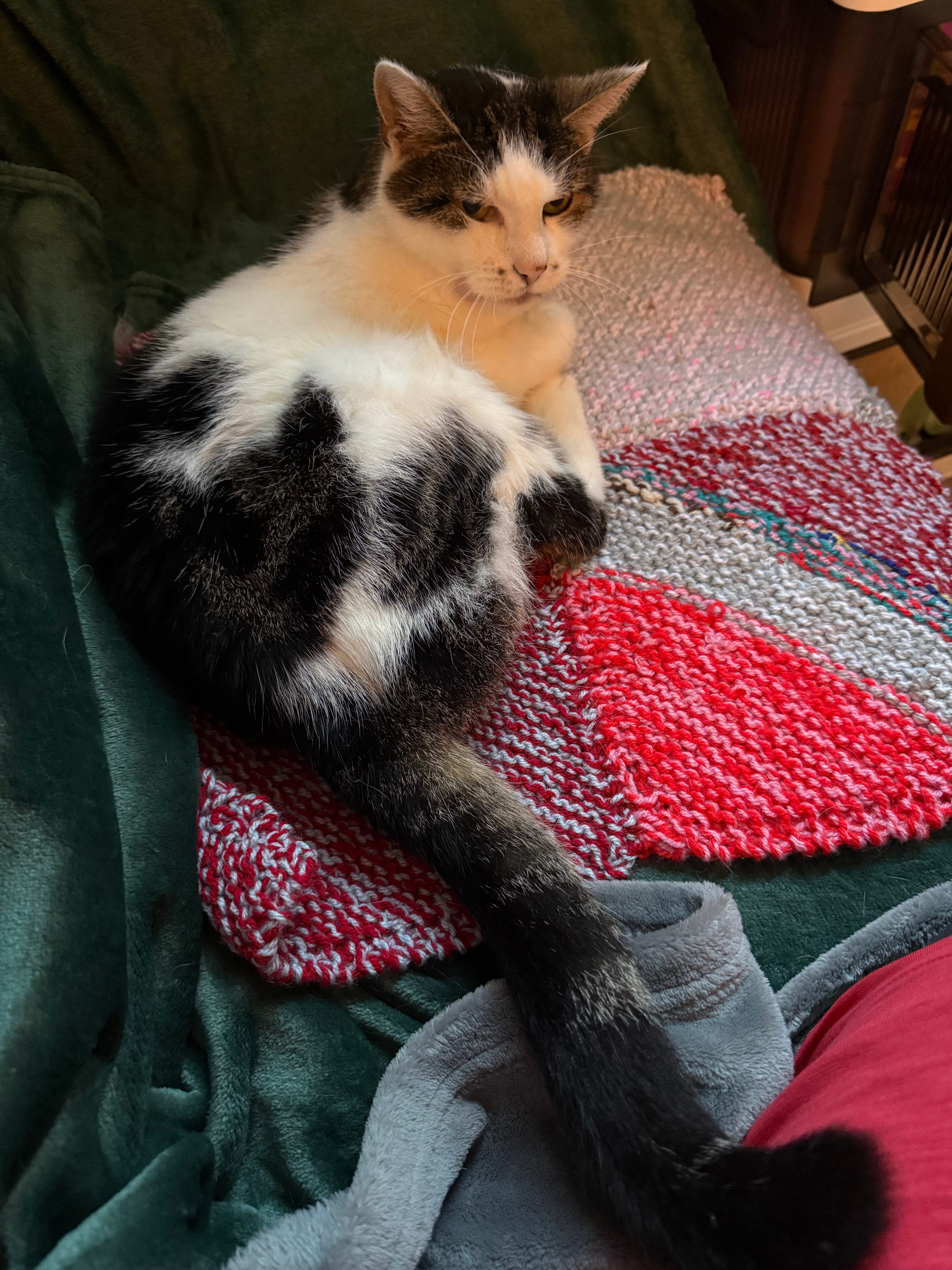 Monday Magic 11: Reflective prompts to start your week right