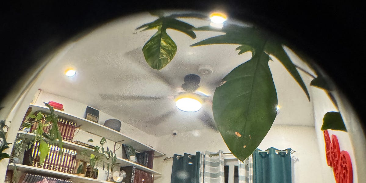 Living Like We’re Loved - Michael Bayron