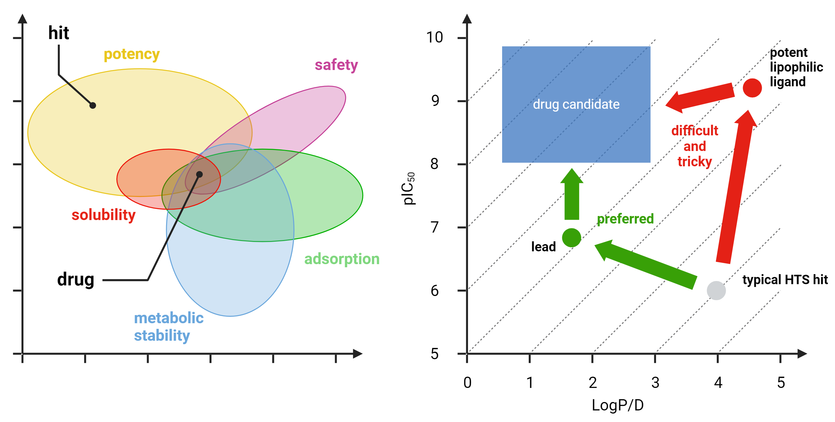 Hit to Lead Optimization in Drug Discovery: From Early Hits to High ...