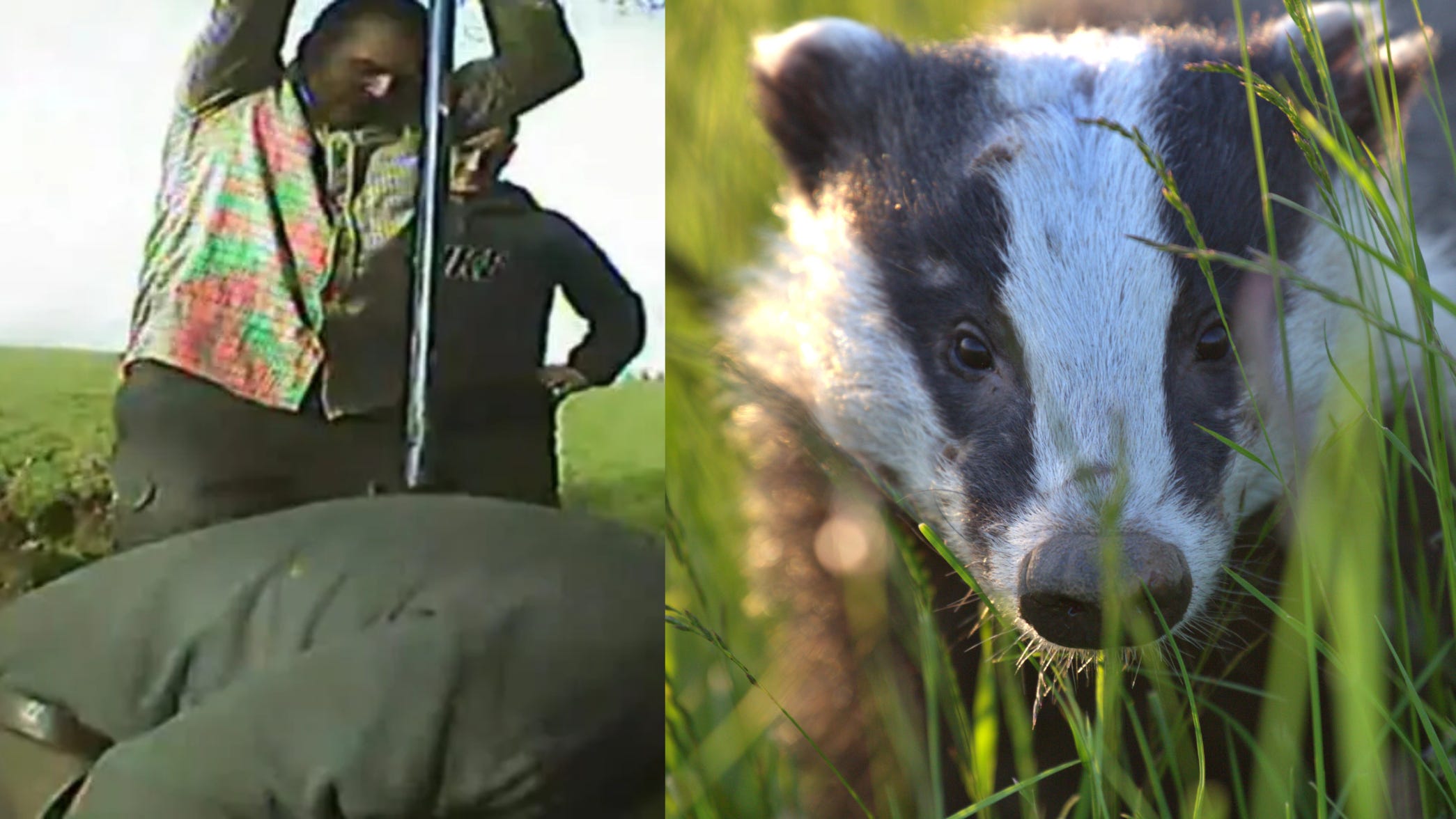 New report shows convictions for wildlife crime offences are at a ...