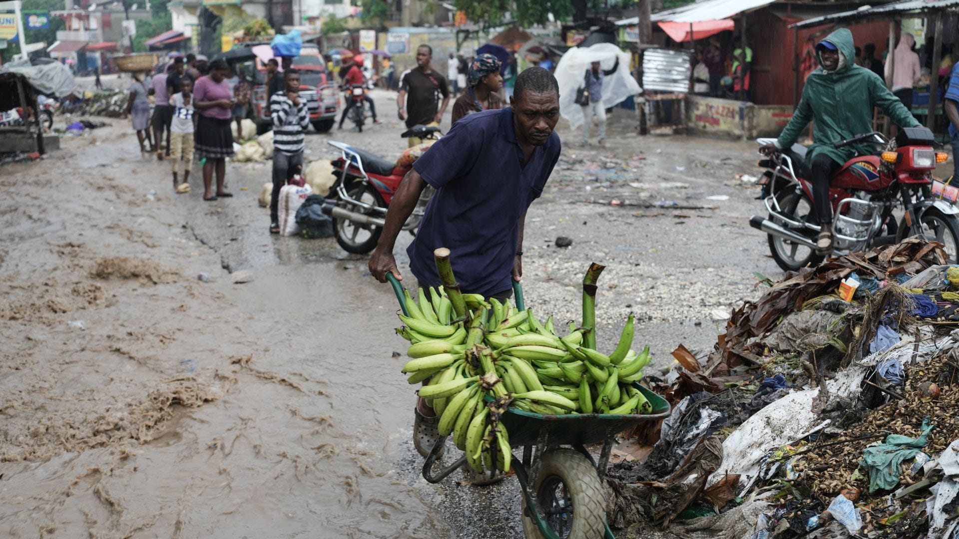 Foreign Aid Cuts and the Haitian Farmer--November 2025