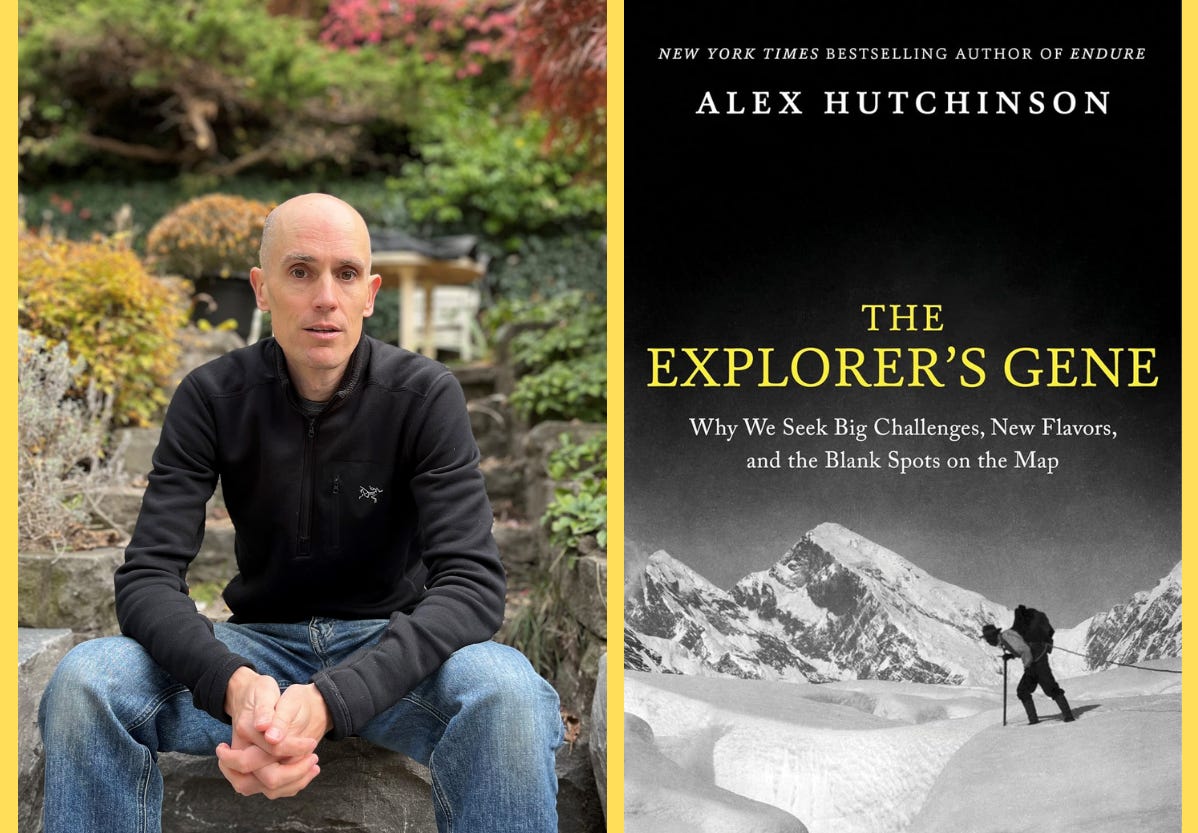 Best Education Newsletters on Substack