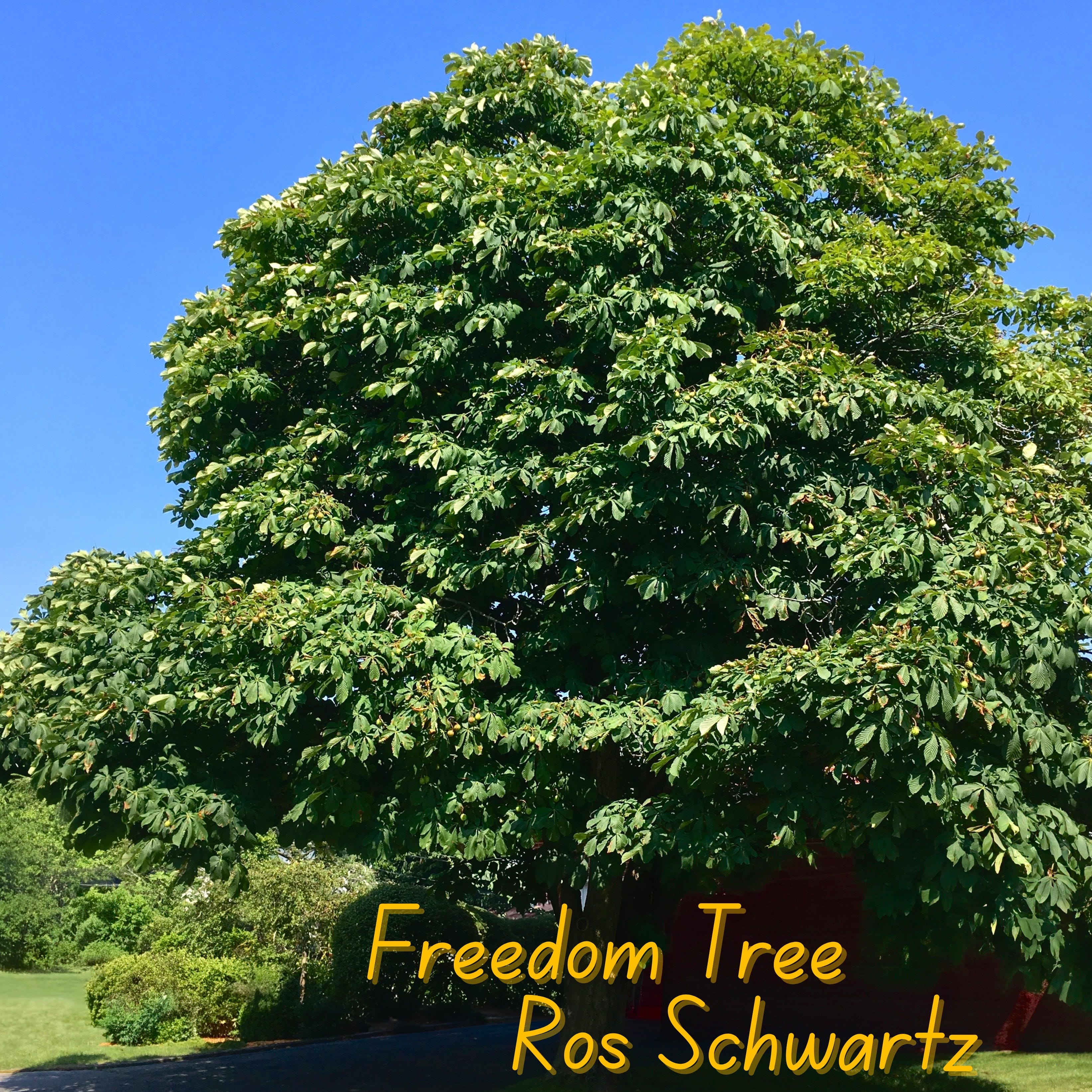 FREEDOM TREE - A Song of Remembrance - by Ros Schwartz
