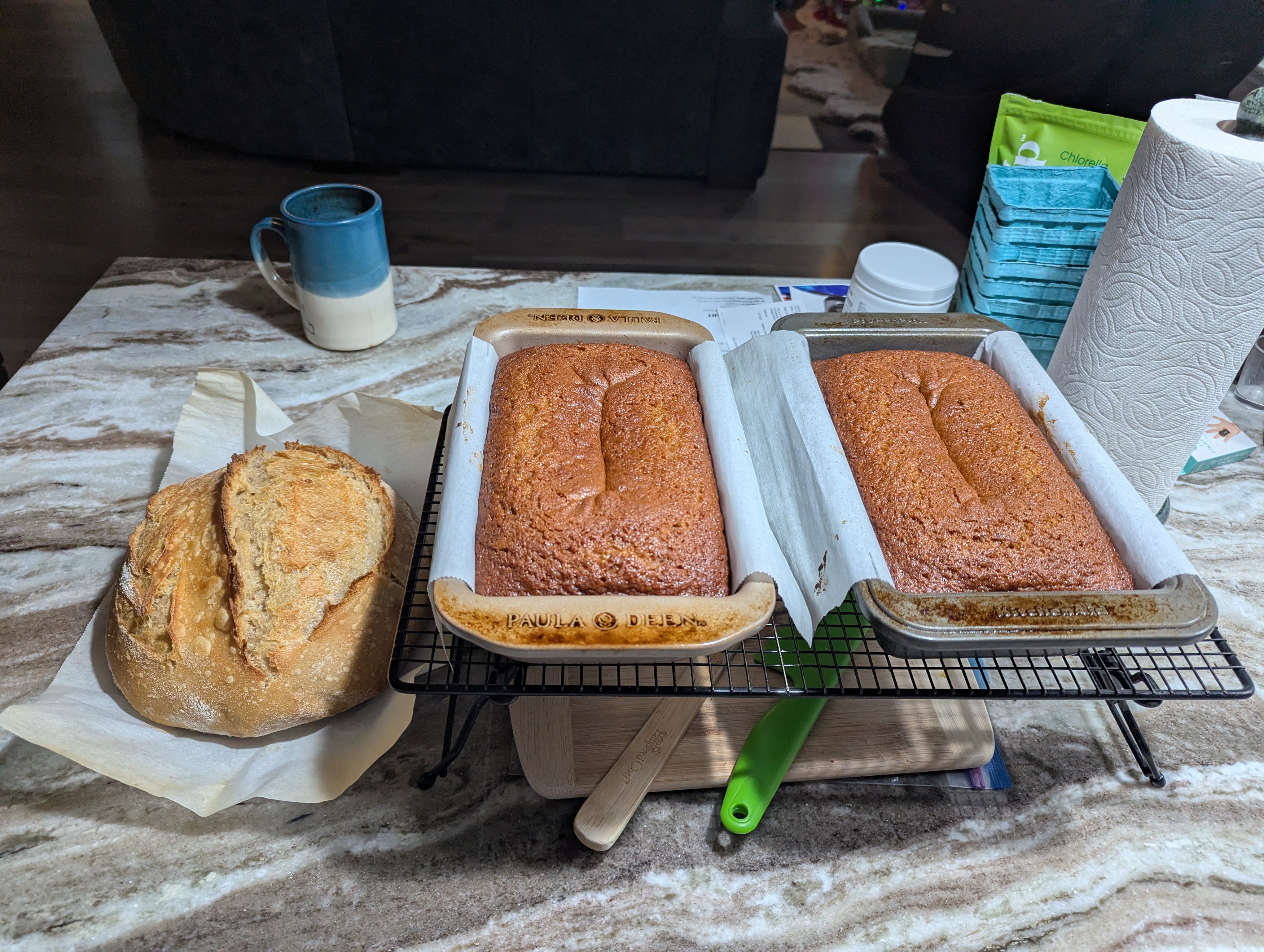 basil grows - by Carol Banks Weber (Coggie)