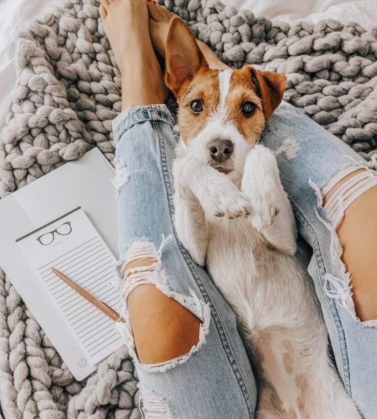 The Surprising Way Pets Change Your Brain