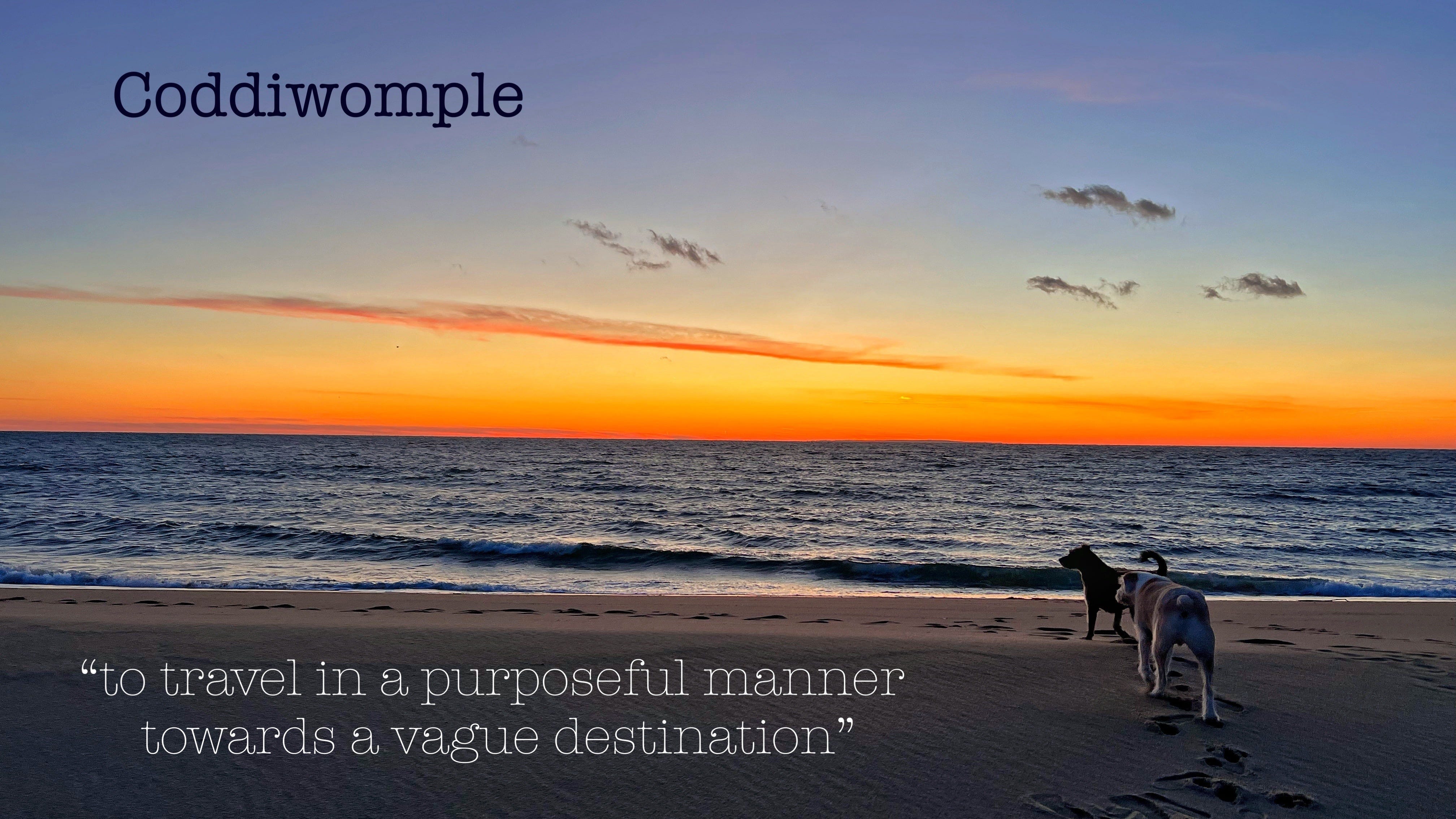 A Coddiwomple Destination Reveal - Tom Ryan, Author