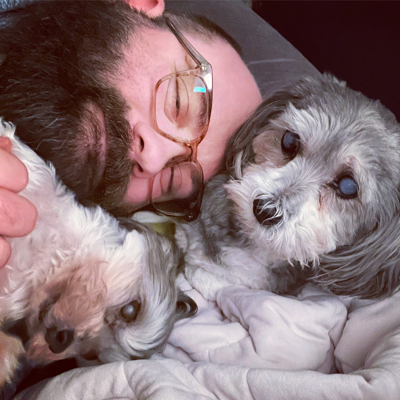 Matt Butler | Substack