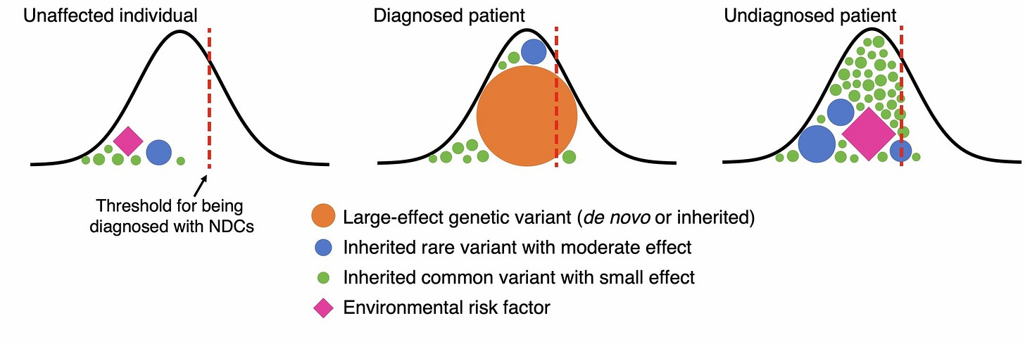 What happens to heritable conditions across generations?