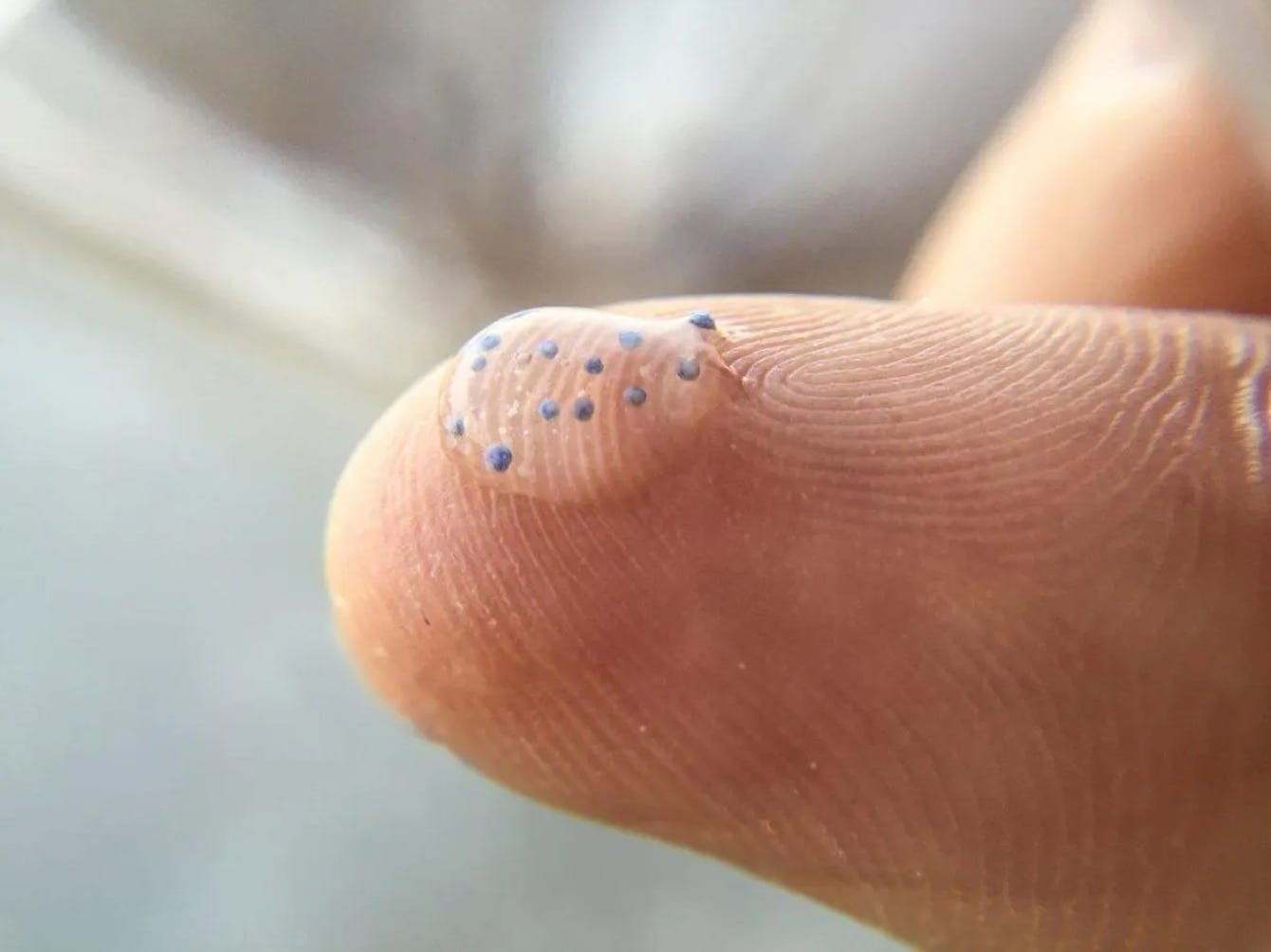 Microplastics Contaminate HALF Of All Freshwater Insects, Study Shows