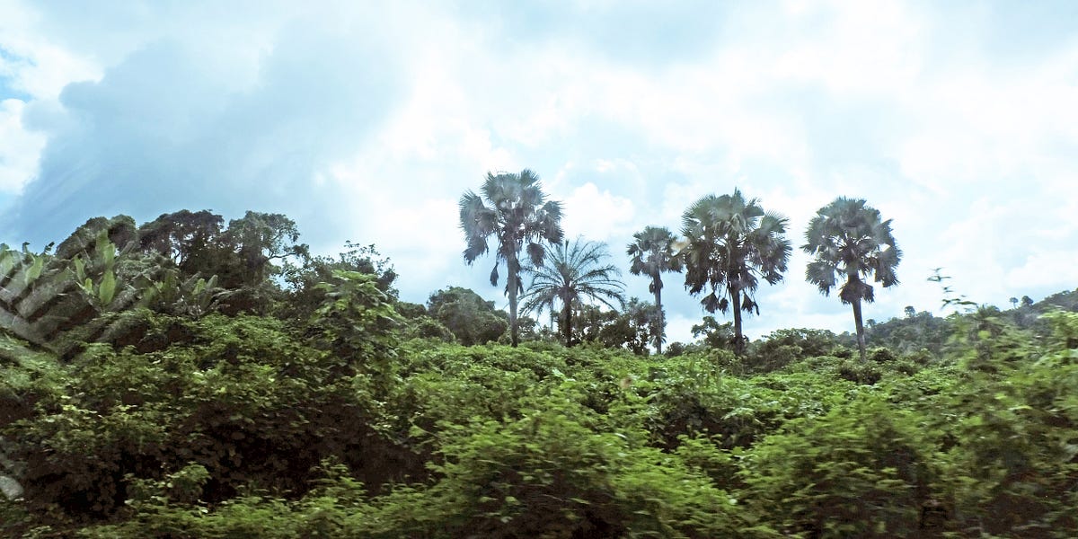Combining Remote Sensing With Local Knowledge Is Vital For ...