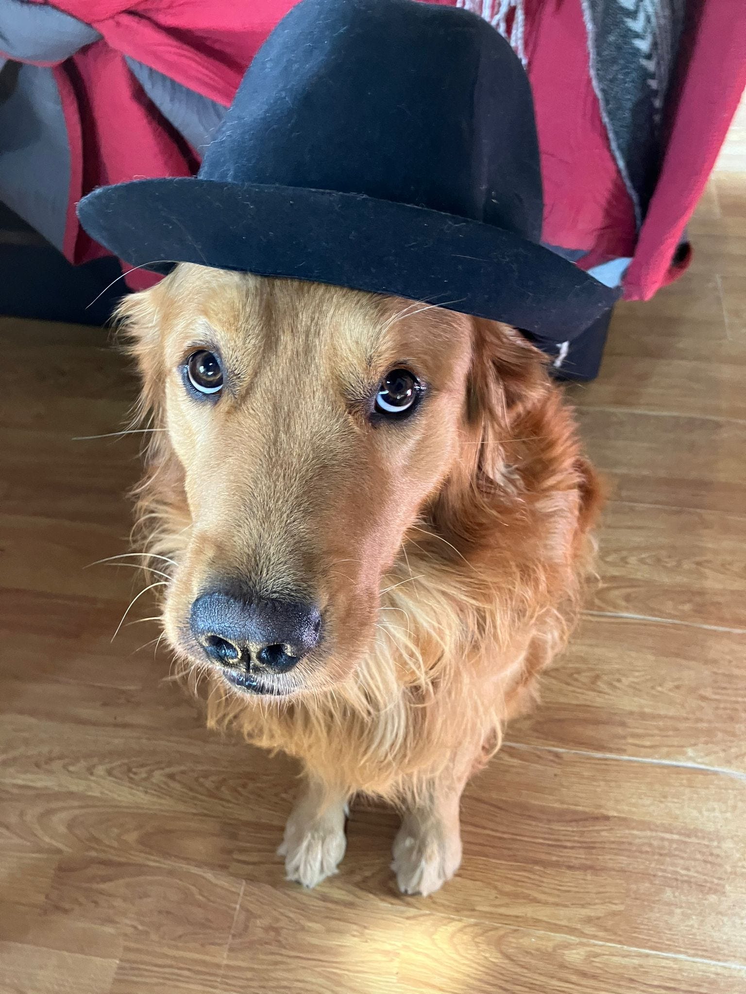 Mauro Eldritch | Substack