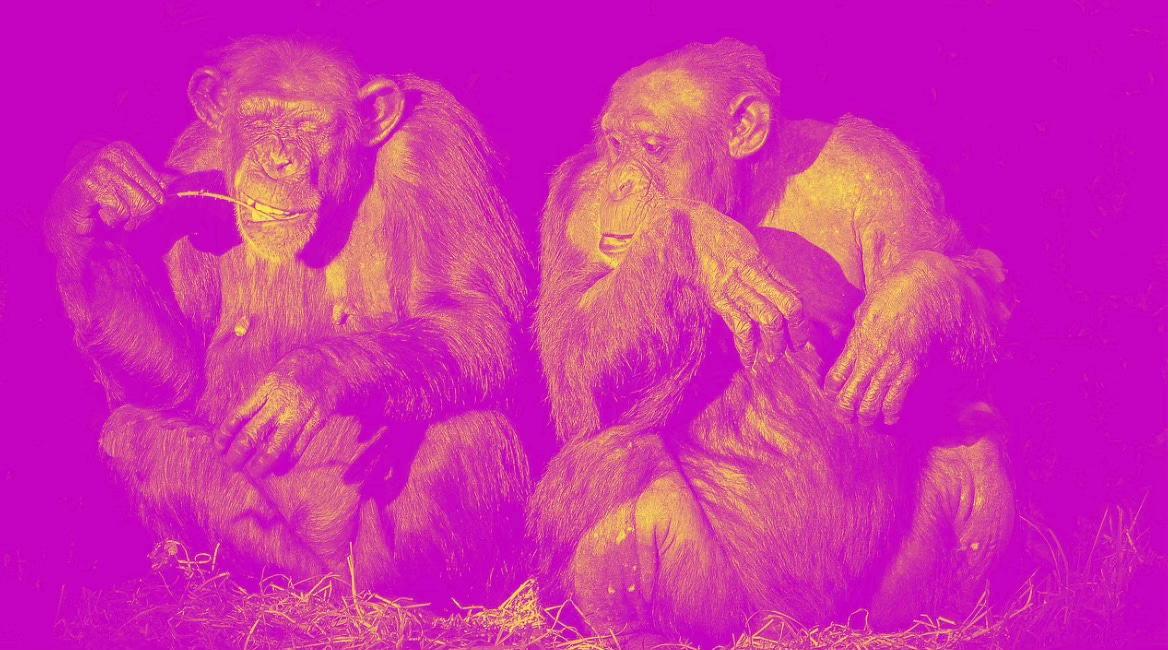 Make It a Happy Year: Accept Human Nature