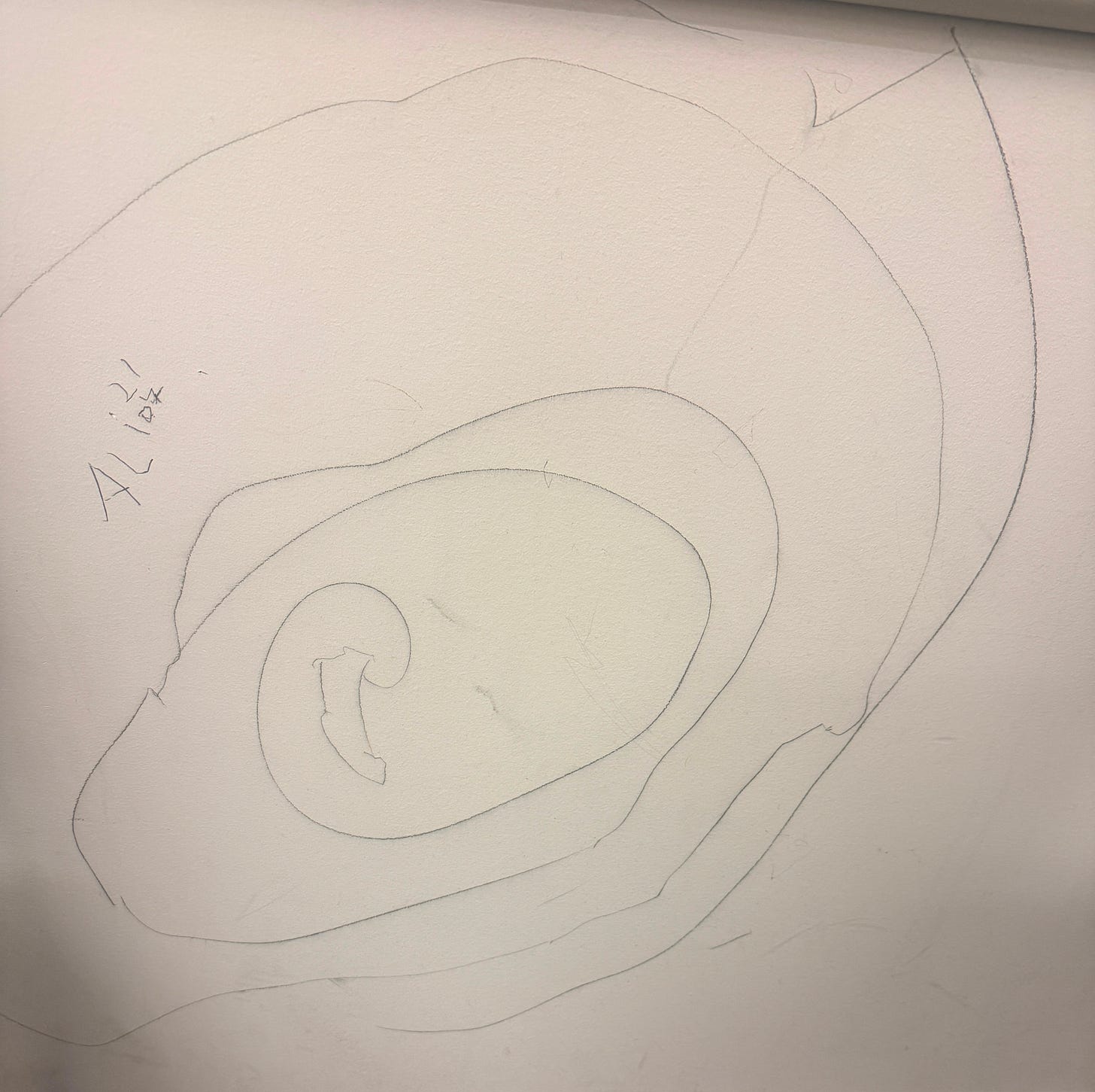 On Human Touch - by Alejandra Oliva - Ojos de Santa Lucia