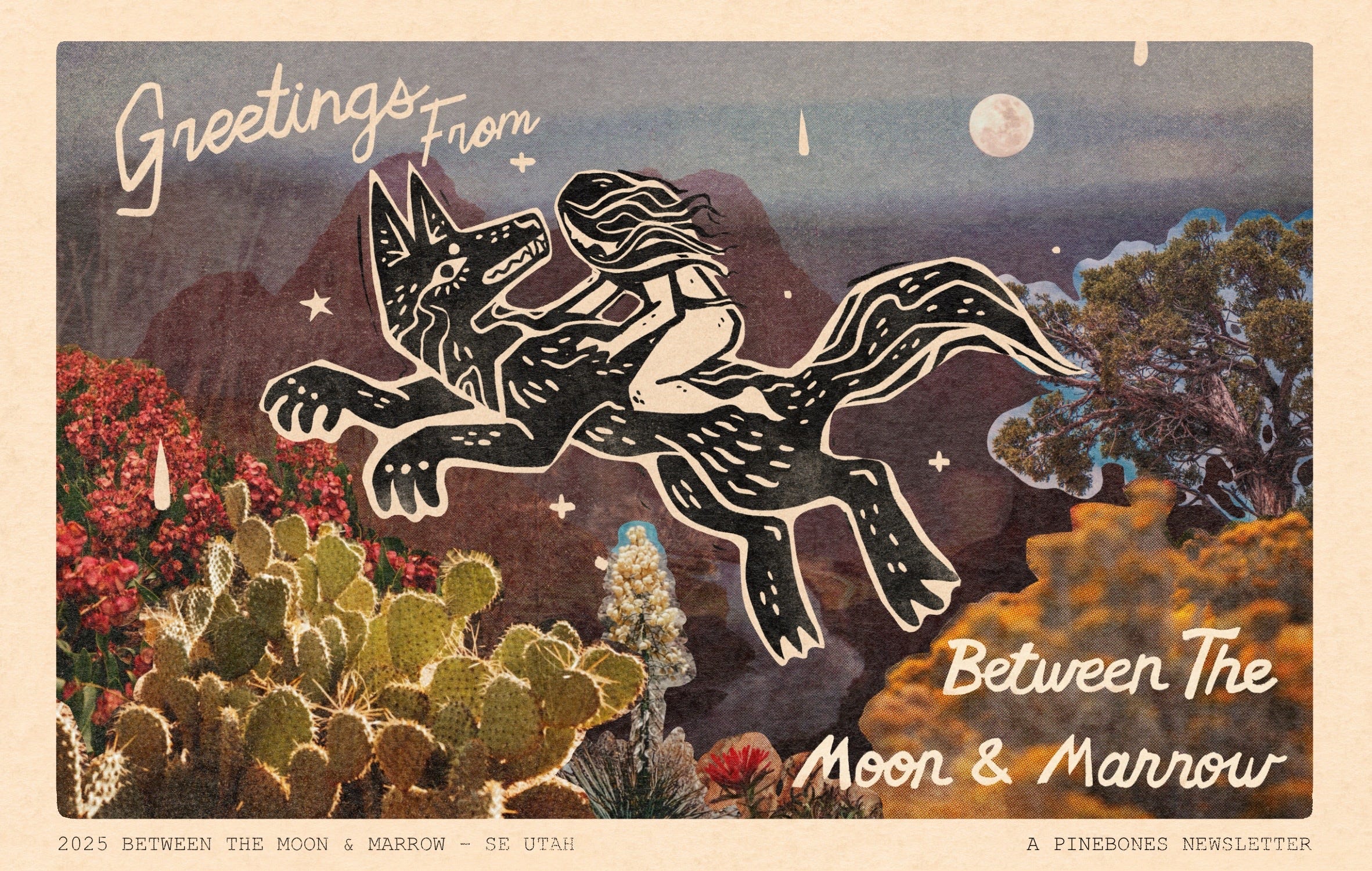 About - Between The Moon & Marrow