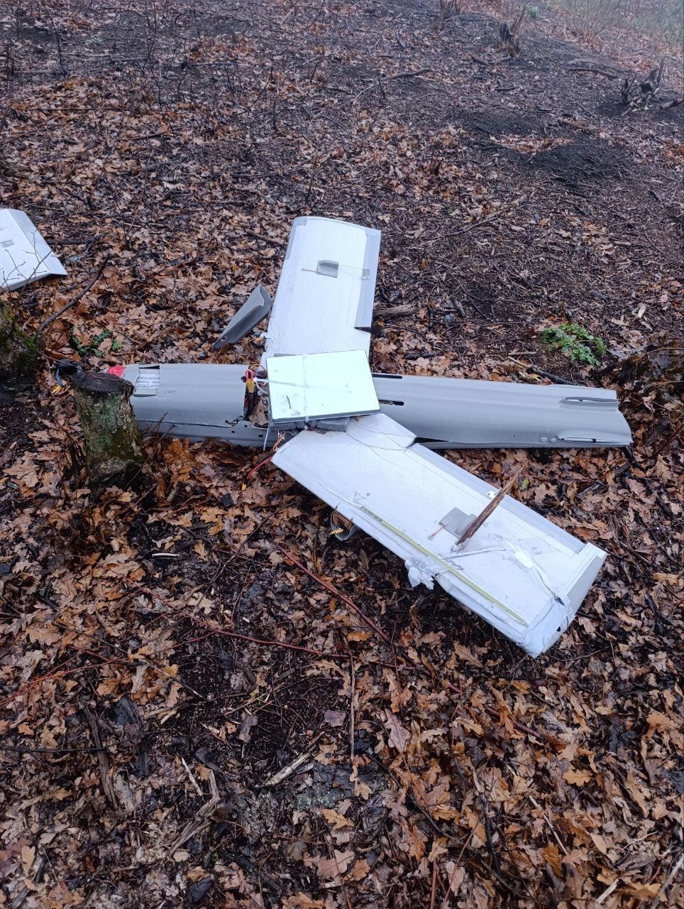 Are European Countries Prepared for Attacks by Russian Drones Using ...