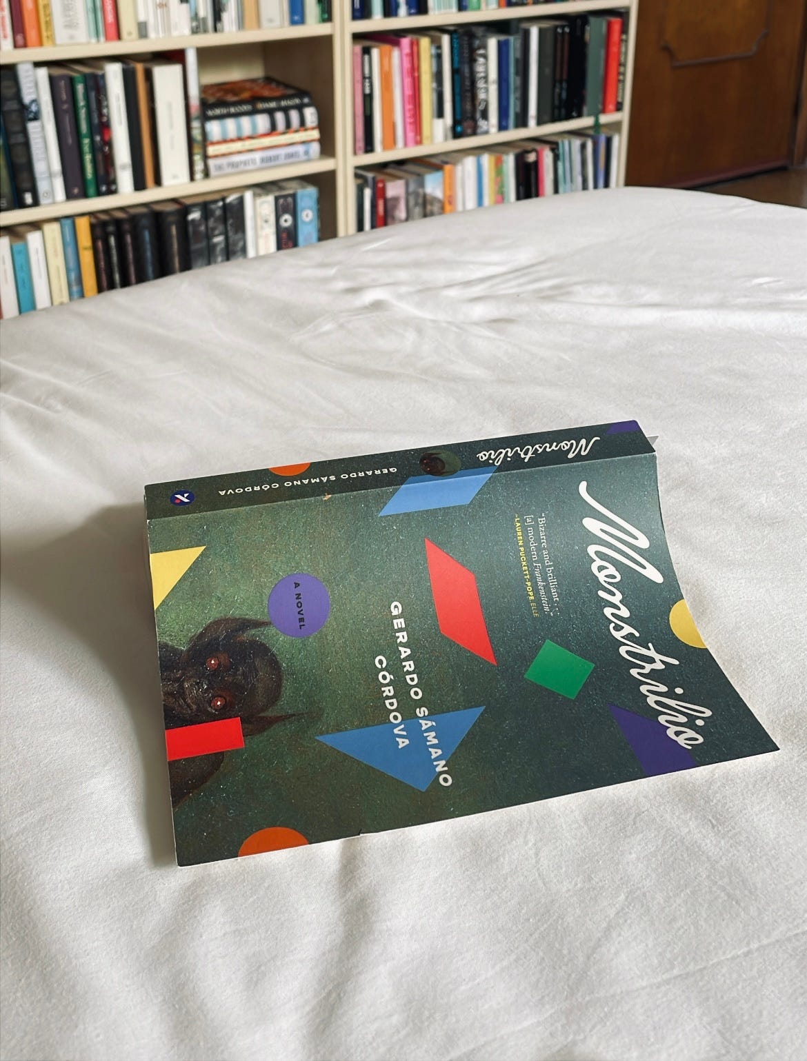 Messy bookshelves, reincarnation, the peculiar, and recent reads