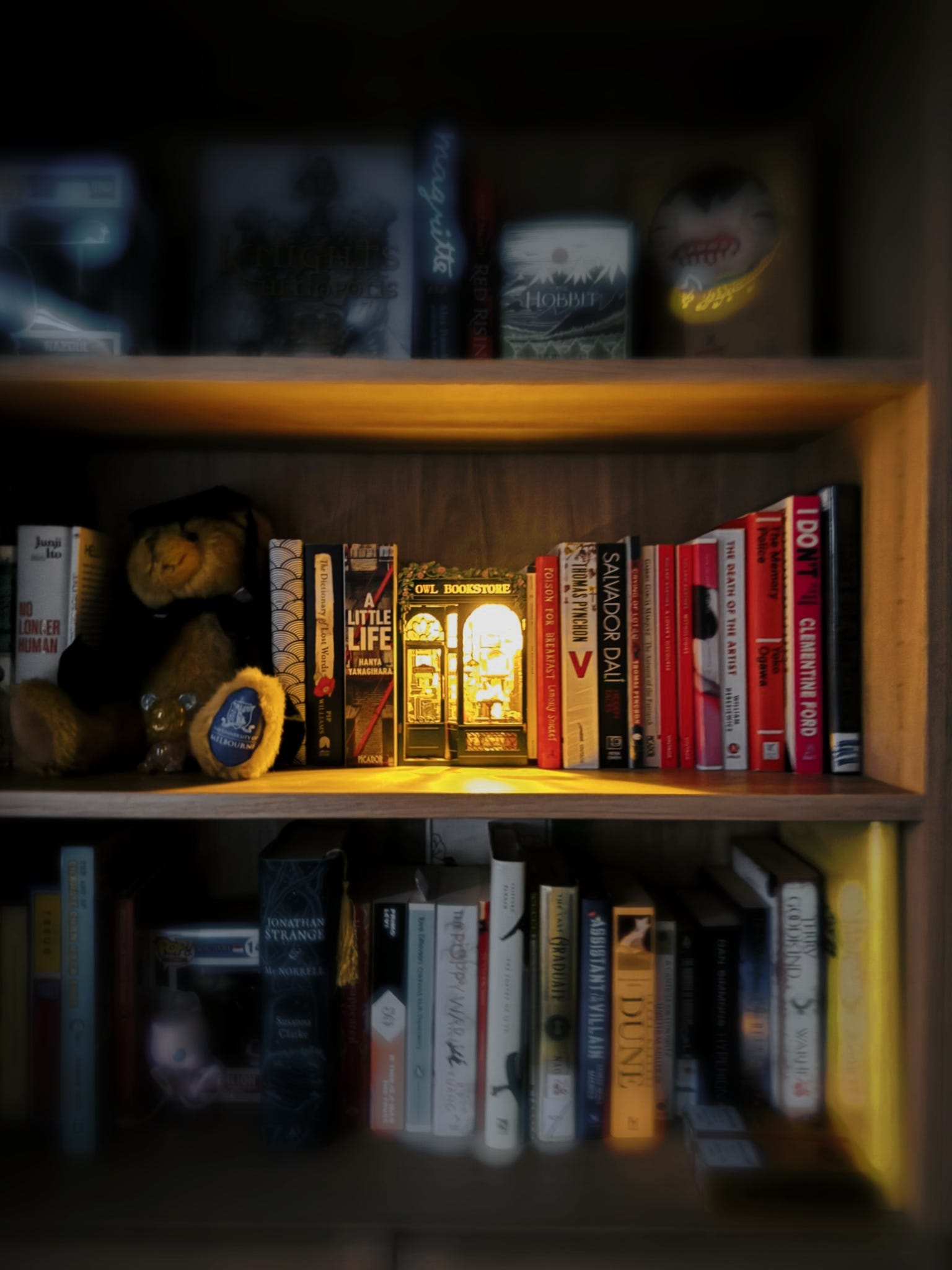 Physical Media and Collecting - by Jessica Nunzella