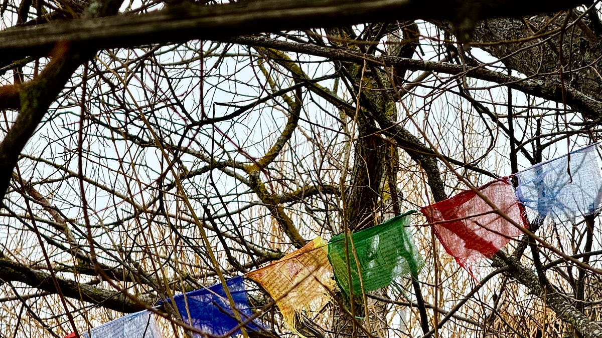 May we come home safe to the people we love.