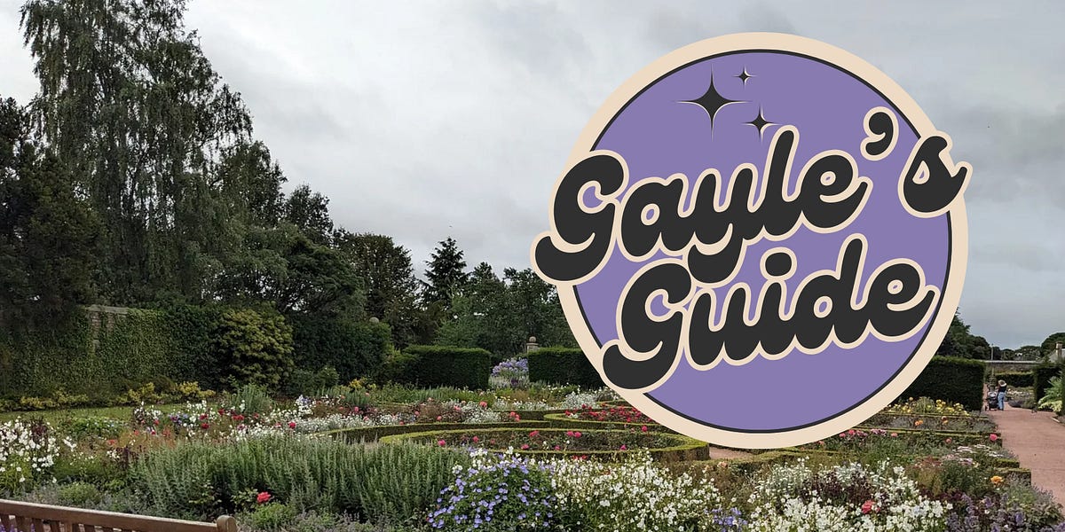 Gayle's Guide 3rd July 25 - Gayle's Guide