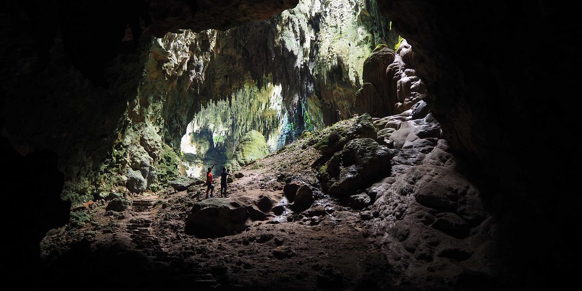 New insights into the biology of Homo luzonensis