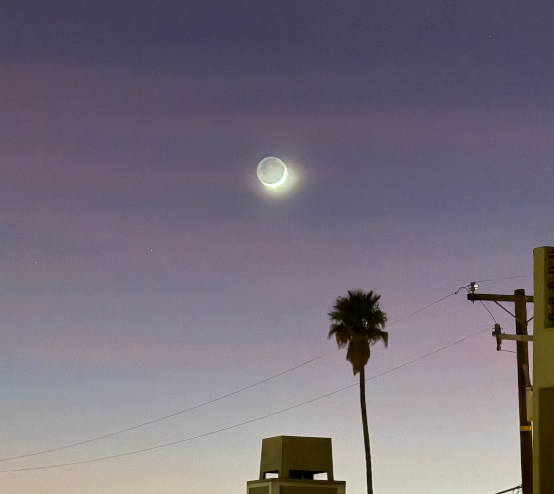 rembert browne substack