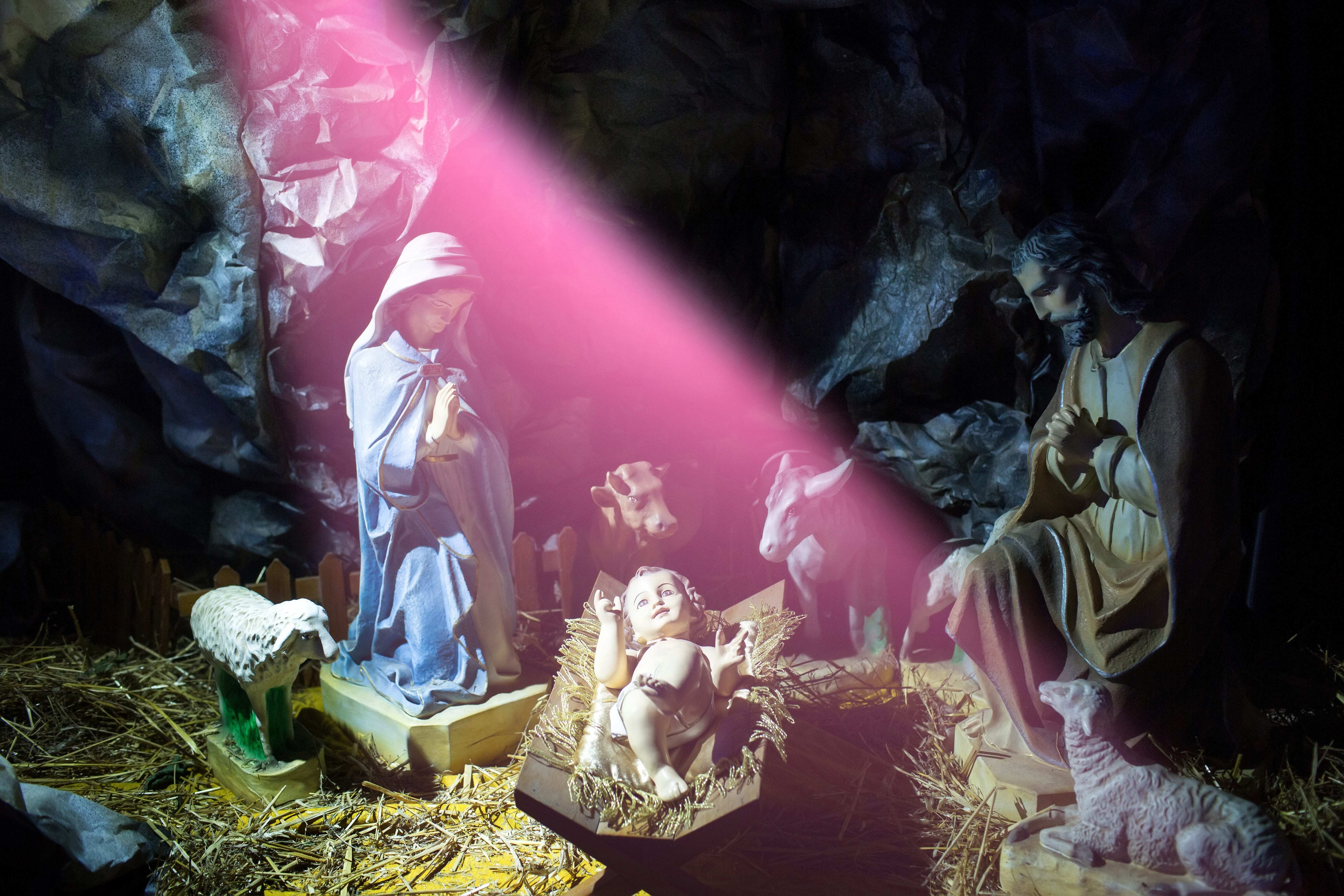 The True Meaning of Christmas: Christ Came to Save the World
