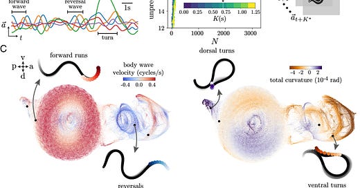Complexity Thoughts | Manlio De Domenico, Ph.D. | Substack