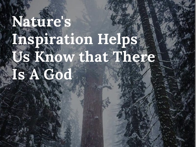 Nature's Inspiration Helps Us Know that There Is A God