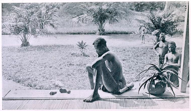 Alice Seeley: the photographer who exposed the atrocities in the Congo