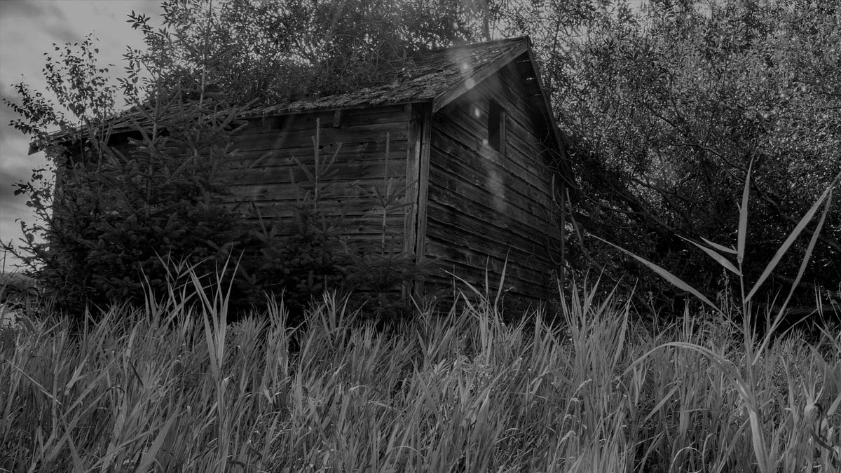 Comments - Nostalgic Nightmares Chapter 1