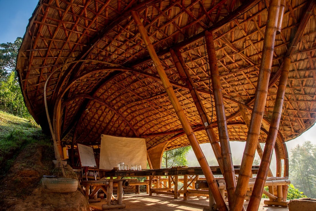 #120 Estructuras orgánicas de bambú - by Igma Pacheco Rivas
