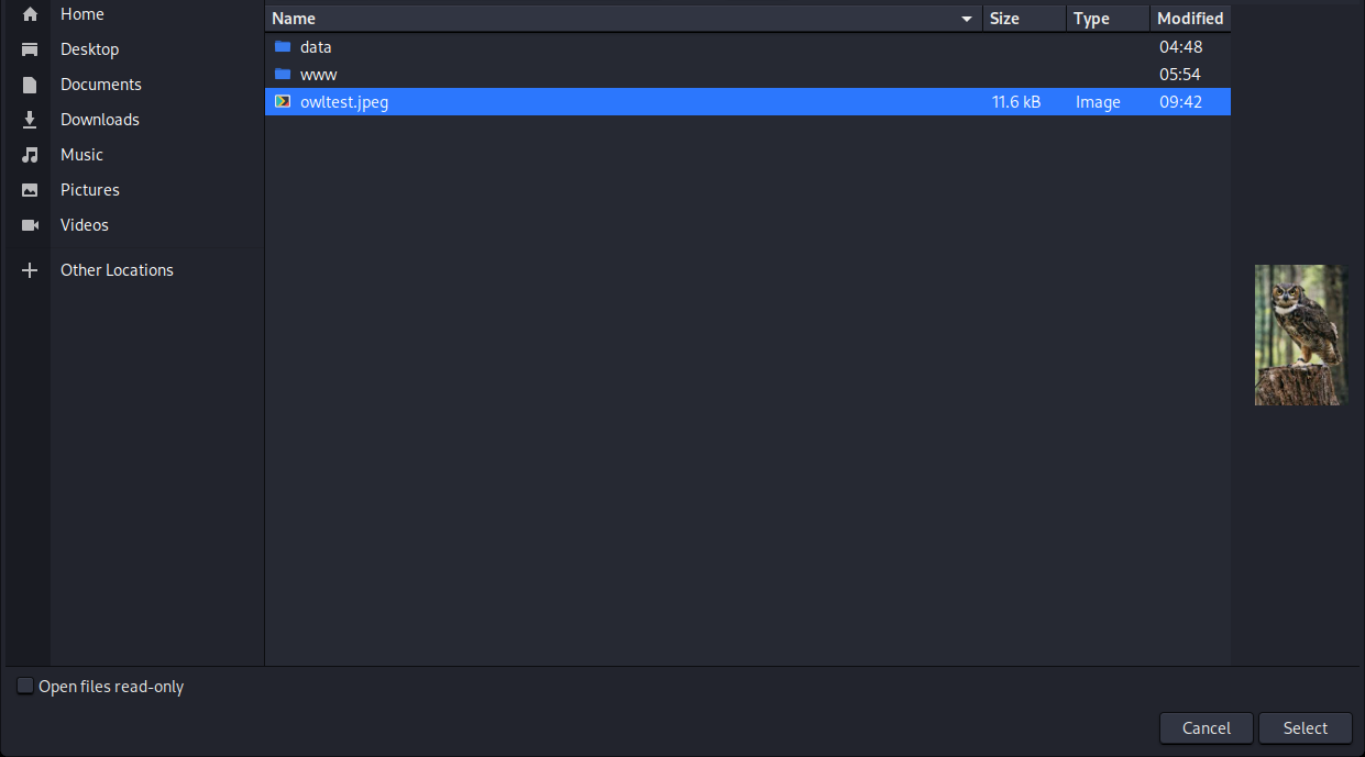 Red Teaming Python-based Application with SSTI: Part 4