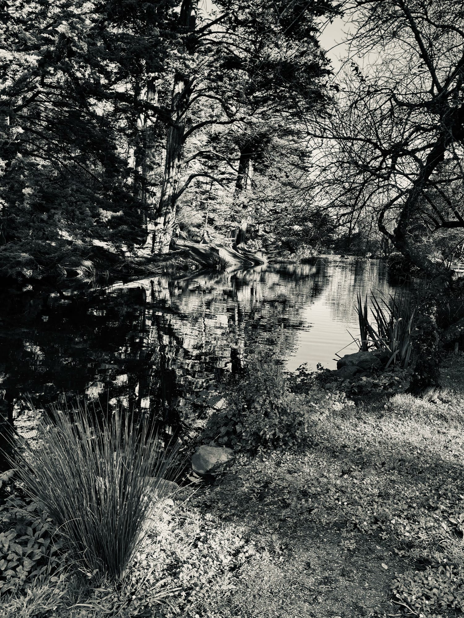 A 52 Weeks Inside Look - by Amy Cowen - Illustrated Life