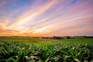 Silver Bulletin | Nate Silver | Substack