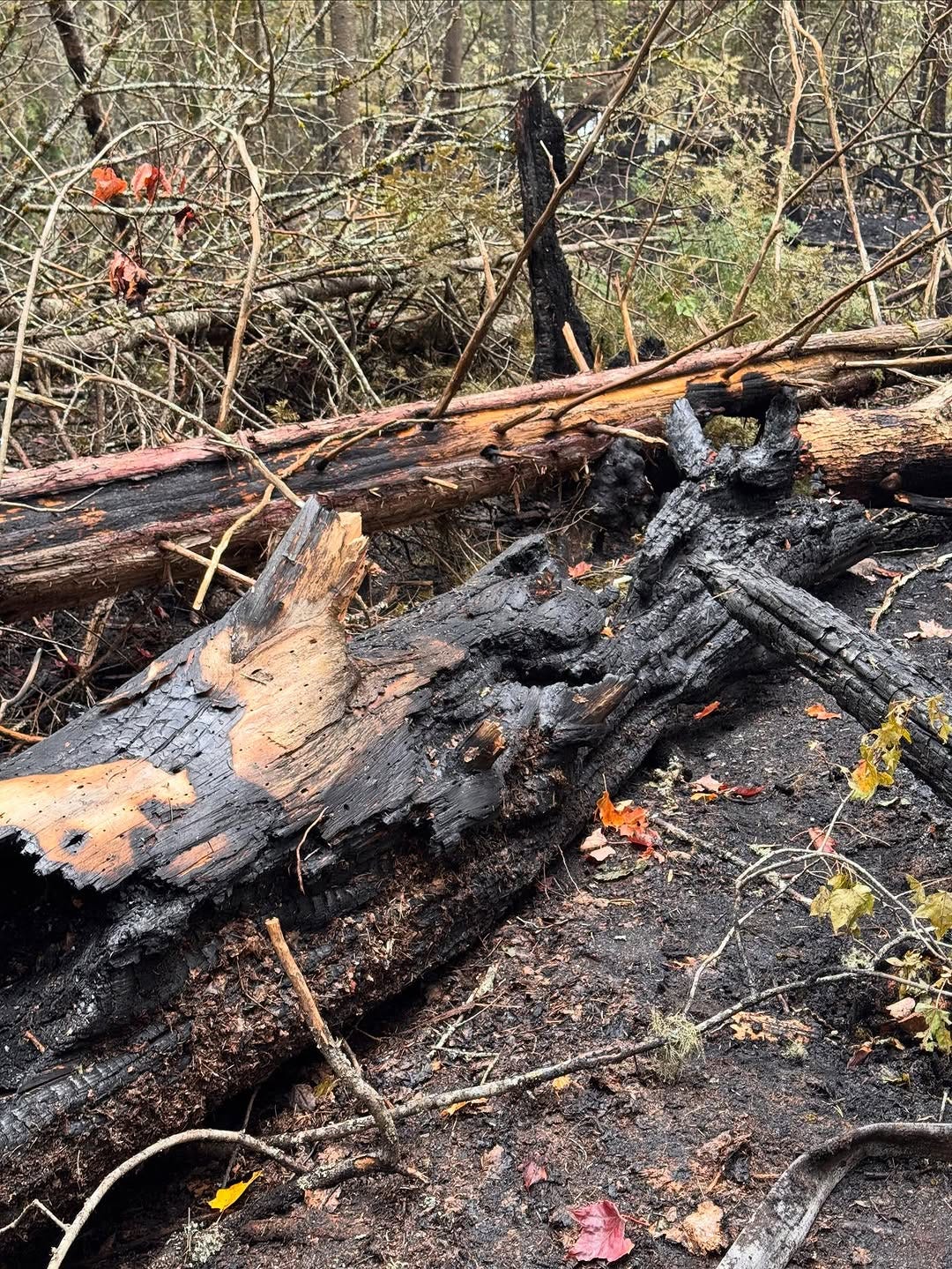 INFO CGTV. Juliette Briens suspendue de RMC suite à un tweet jugé raciste