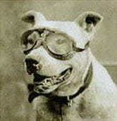 Lawrence Goldstone | Substack