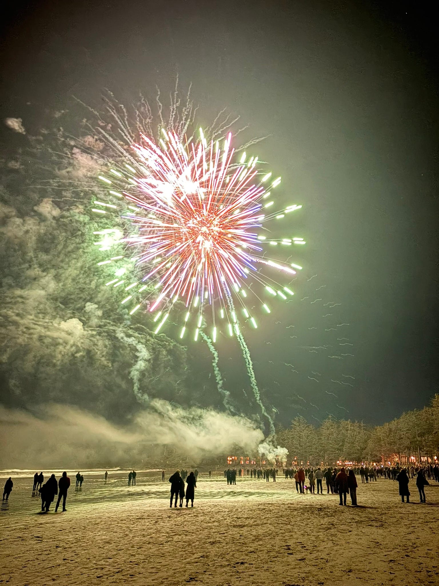 A Letter from Tom, January 2026 Edition - Tom’s Substack