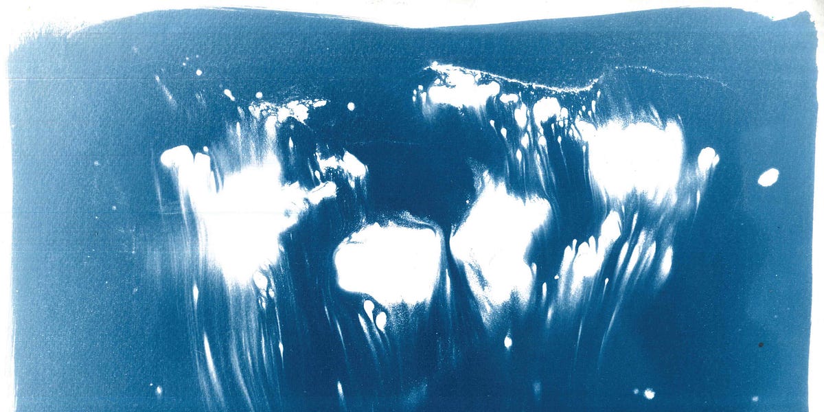 Exploring Cyanotypes: A Beginner’s Guide to This Unique Cameraless ...