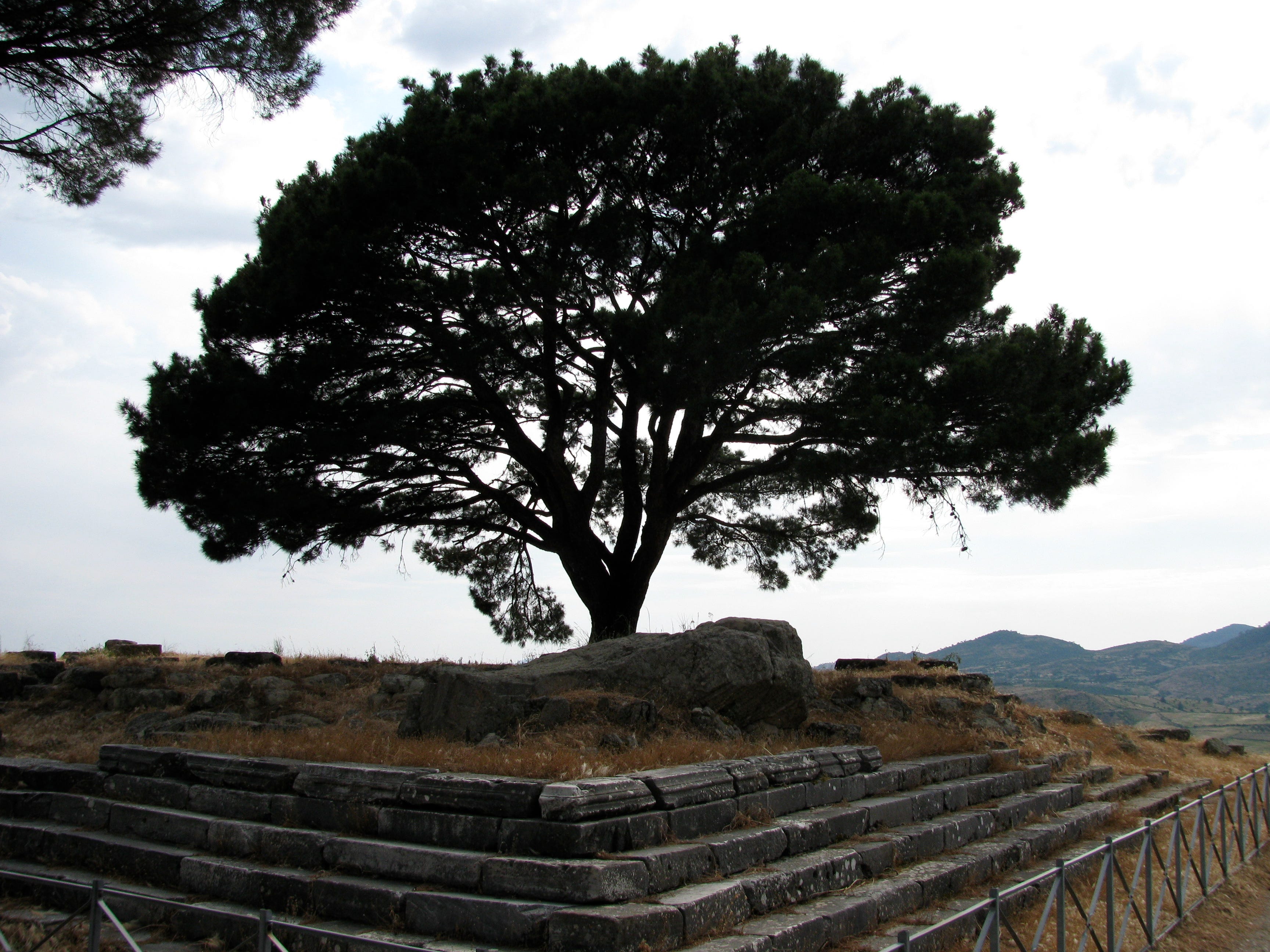 Japanese Screens and Grecian Friezes - by Marco Roth