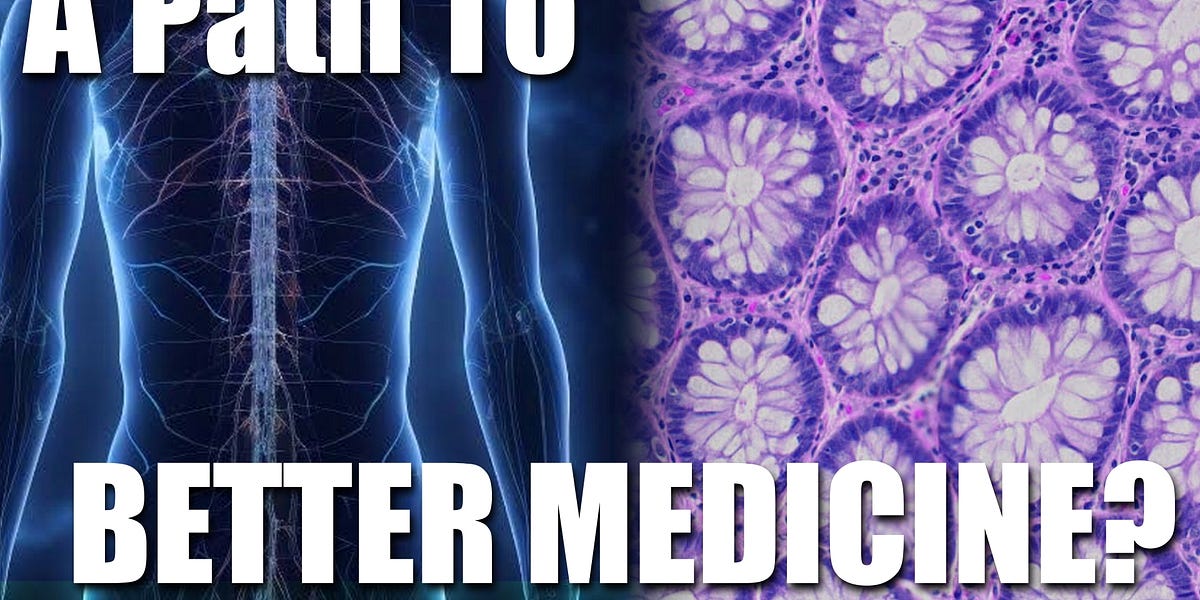 The Tissue Code: How Our Body Stays Organized